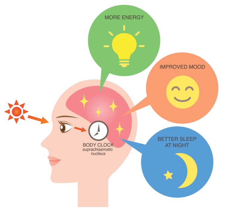 What Triggers Sleep And What Keeps You Awake? - Good Sleep Anywhere